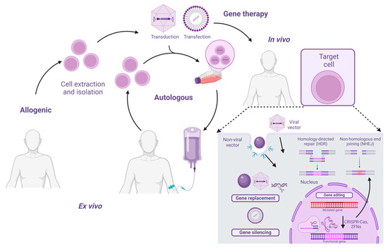Nanotheranostics Revolutionizing Gene Therapy: Emerging Applications in ...