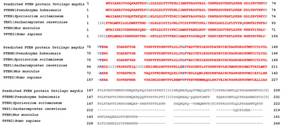 JoF | Free Full-Text | Deletion of ptn1, a PTEN/TEP1 Orthologue, in ...