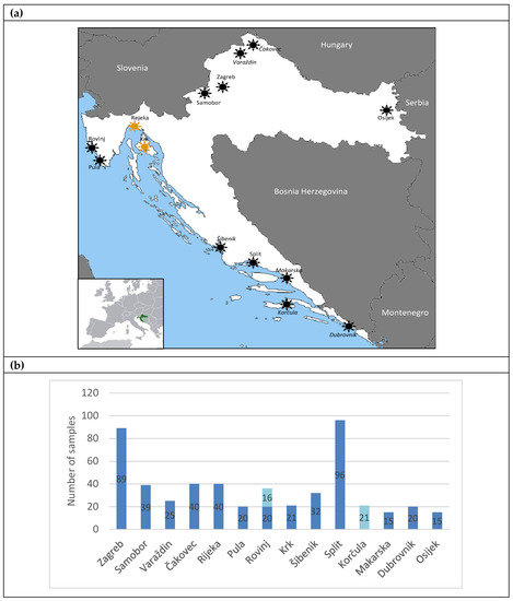 First Isolation, Antifungal Susceptibility, and Molecular ...