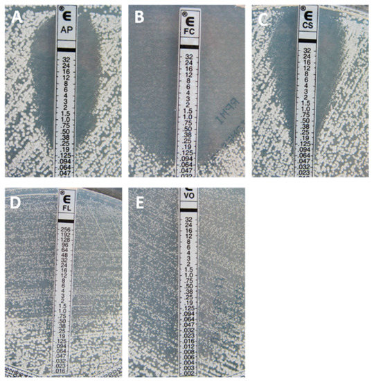 Antifungal Susceptibly Testing by Concentration Gradient Strip Etest ...