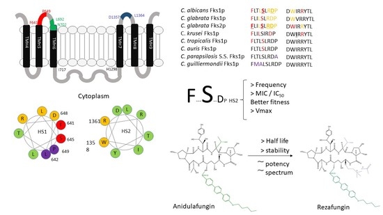 JoF | Special Issue : Antifungal Agents Recently Approved or Under ...