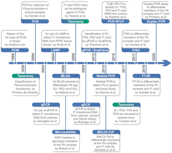 Molecular Tools for Detection and Identification of Paracoccidioides ...