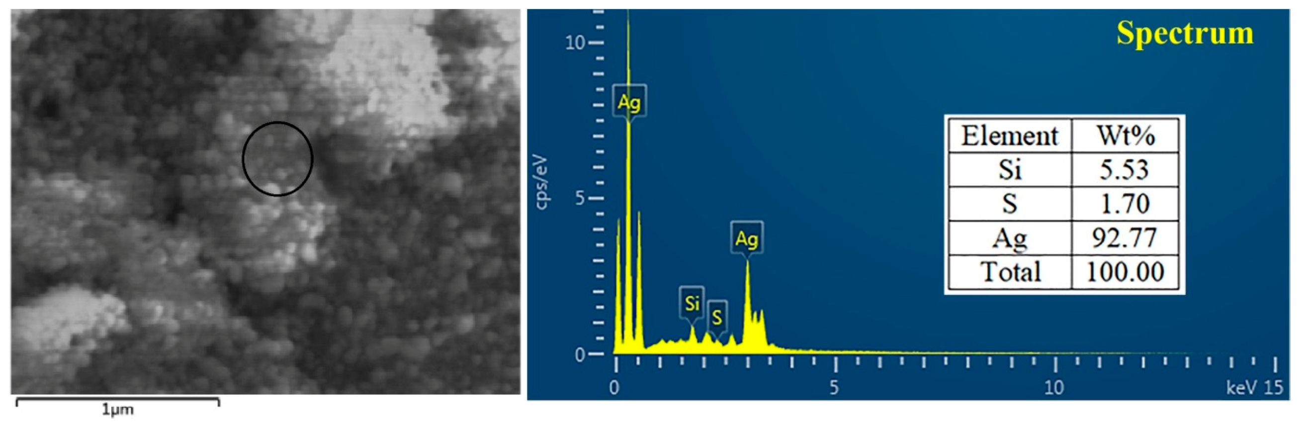 Biosynthesis of Silver Nanoparticles Using Onion Endophytic Bacterium and Its Antifungal ...