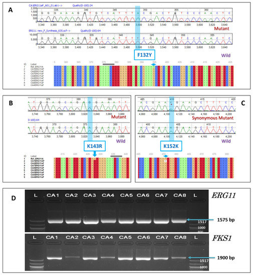 Drug Resistance-Associated Mutations in ERG11 of Multidrug-Resistant ...