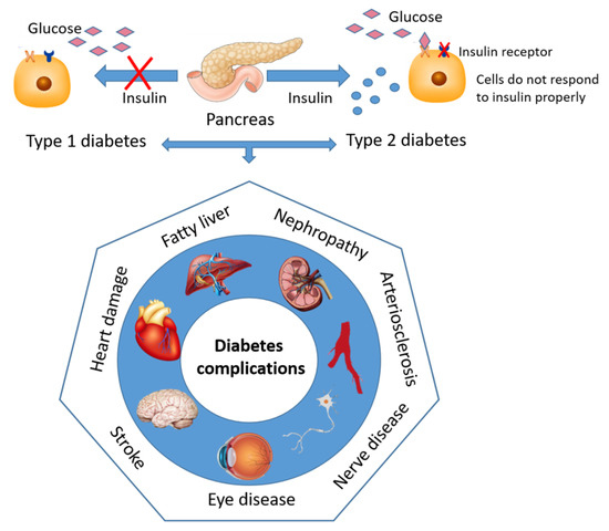 JoF | Free Full-Text | The Effects of Major Mushroom Bioactive ...