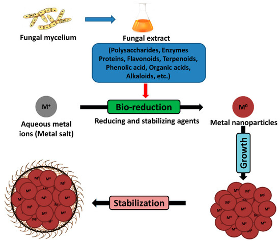 Fusarium as a Novel Fungus for the Synthesis of Nanoparticles: Mechanism and Applications
