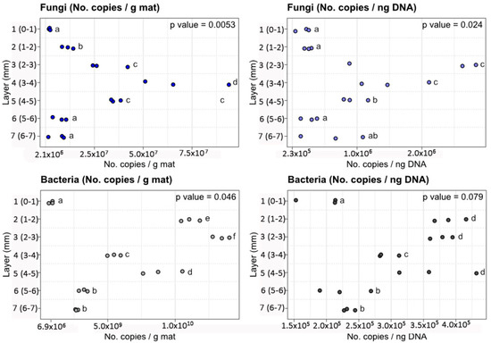 The Abundance and Diversity of Fungi in a Hypersaline Microbial Mat from Guerrero Negro, Baja ...