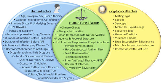 Associations between Cryptococcus Genotypes, Phenotypes, and Clinical ...
