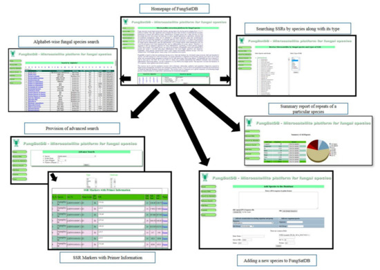 Fungal Genomic Resources for Strain Identification and Diversity ...