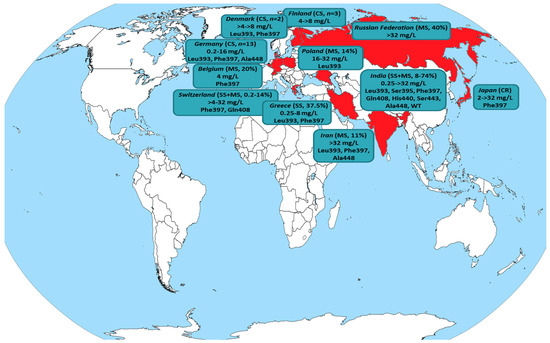 JoF | Free Full-Text | Molecular Epidemiology and Antifungal ...