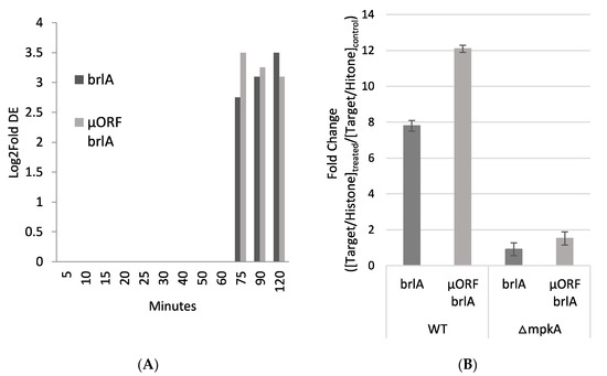 Micafungin-Induced Cell Wall Damage Stimulates Morphological Changes ...