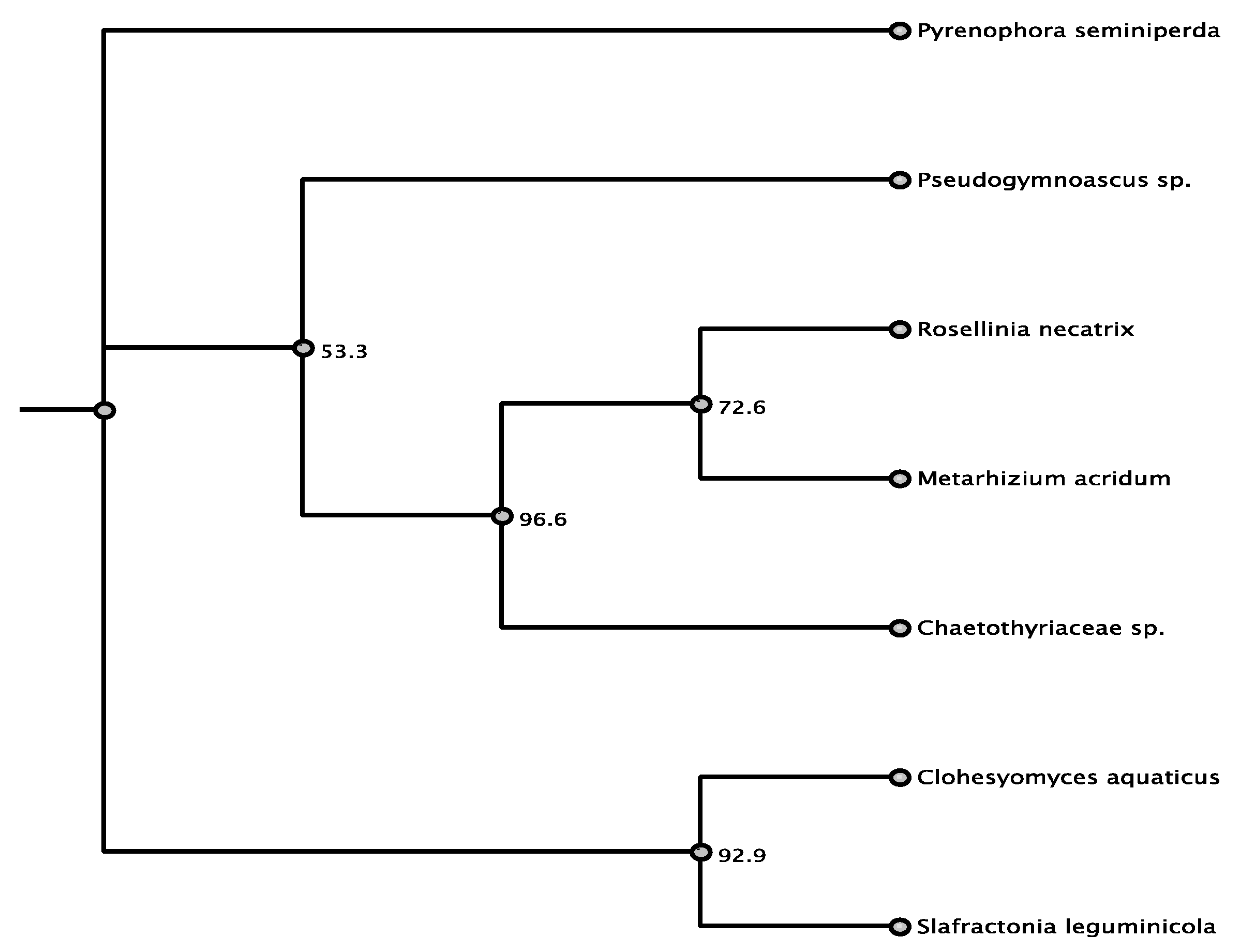 JoF | Free Full-Text | Genetic Relationships in the Toxin-Producing ...