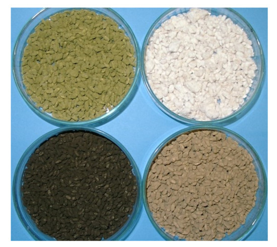 Koji Starter and Koji World in Japan