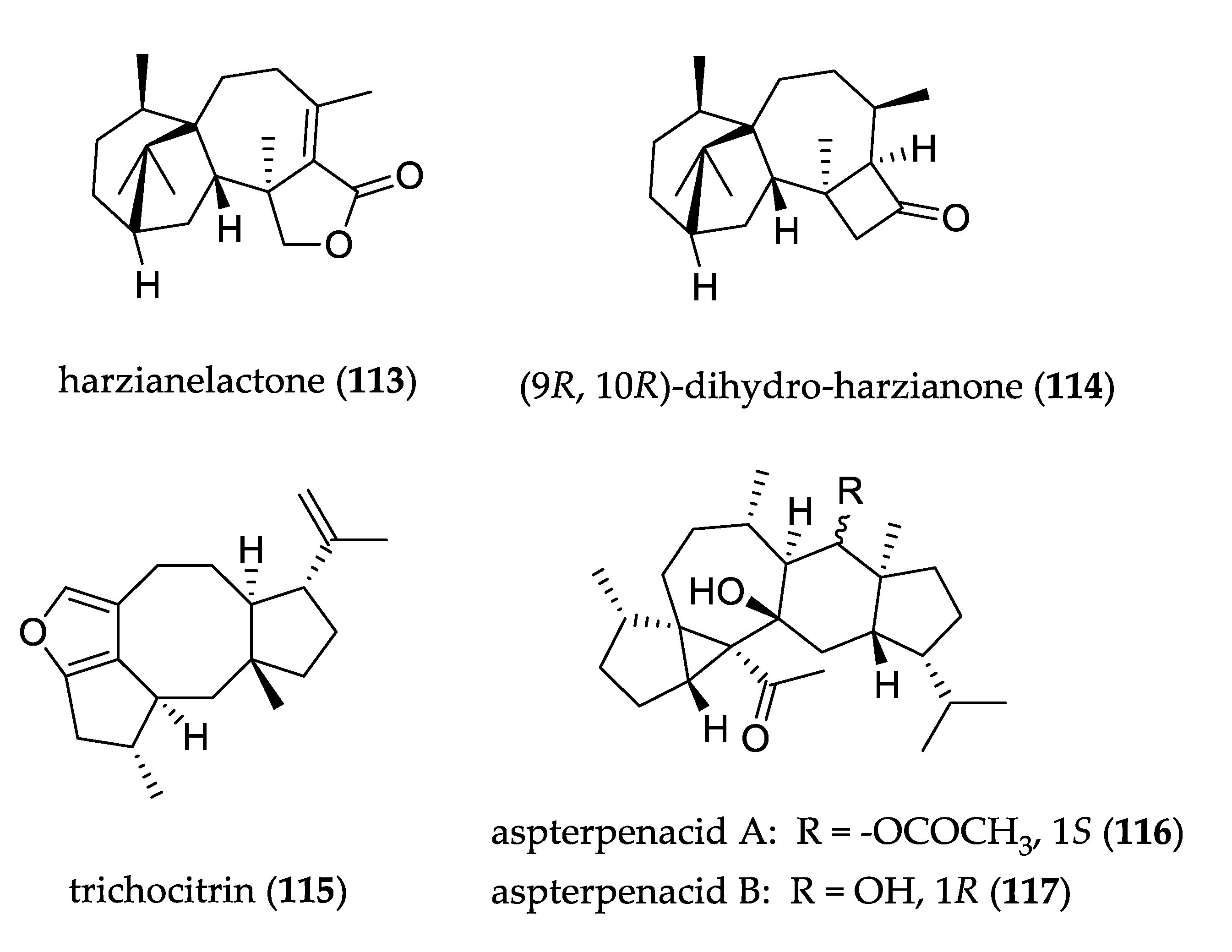 Structurally Uncommon Secondary Metabolites Derived from Endophytic Fungi