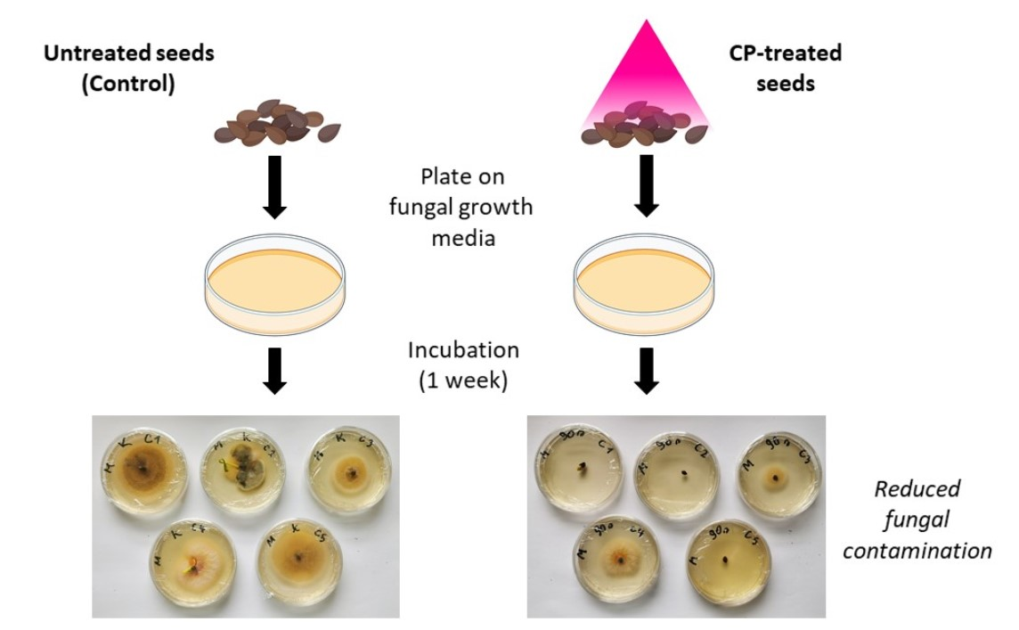JoF | Free Full-Text | Development of Cold Plasma Technologies for ...