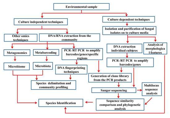 Current Insight into Culture-Dependent and Culture-Independent Methods ...