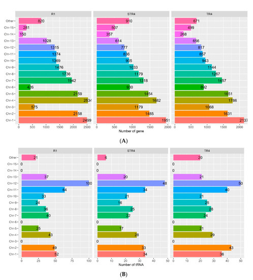 JoF | Free Full-Text | Comparative Whole-Genome Sequence Analyses of ...