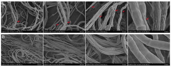 Antifungal Activity and Biocontrol Mechanism of Fusicolla violacea J-1 ...