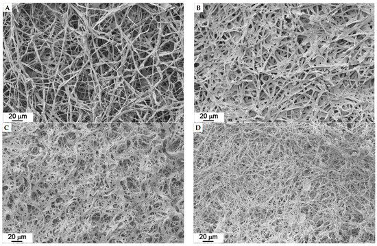 Collection and Characterization of Wood Decay Fungal Strains for ...