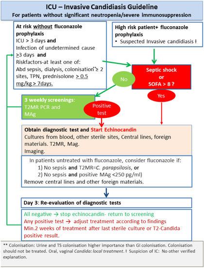 JoF | Free Full-Text | Intensive Care Antifungal Stewardship Programme Based on T2Candida PCR ...