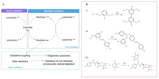 JoF | Free Full-Text | Fungal Laccases: The Forefront of Enzymes for ...