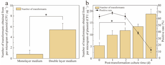 Establishment of an Efficient Polyethylene Glycol (PEG)-Mediated ...