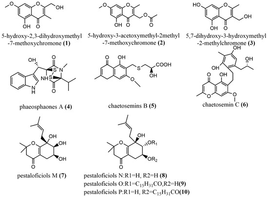 Endophytic Fungi: An Effective Alternative Source of Plant-Derived ...