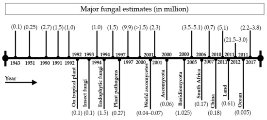 Current Insight into Traditional and Modern Methods in Fungal Diversity ...