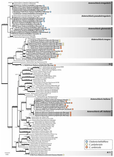 An Exception to the Rule? Could Photobiont Identity Be a Better ...