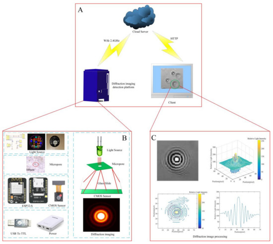 A Rapid Detection Method for Fungal Spores from Greenhouse Crops Based ...
