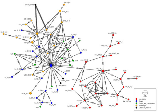 JoF | Free Full-Text | Filling the Gap in Southern Europe—Diversity of ...