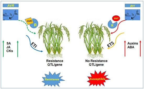 JoF | Free Full-Text | Understanding the Dynamics of Blast Resistance ...