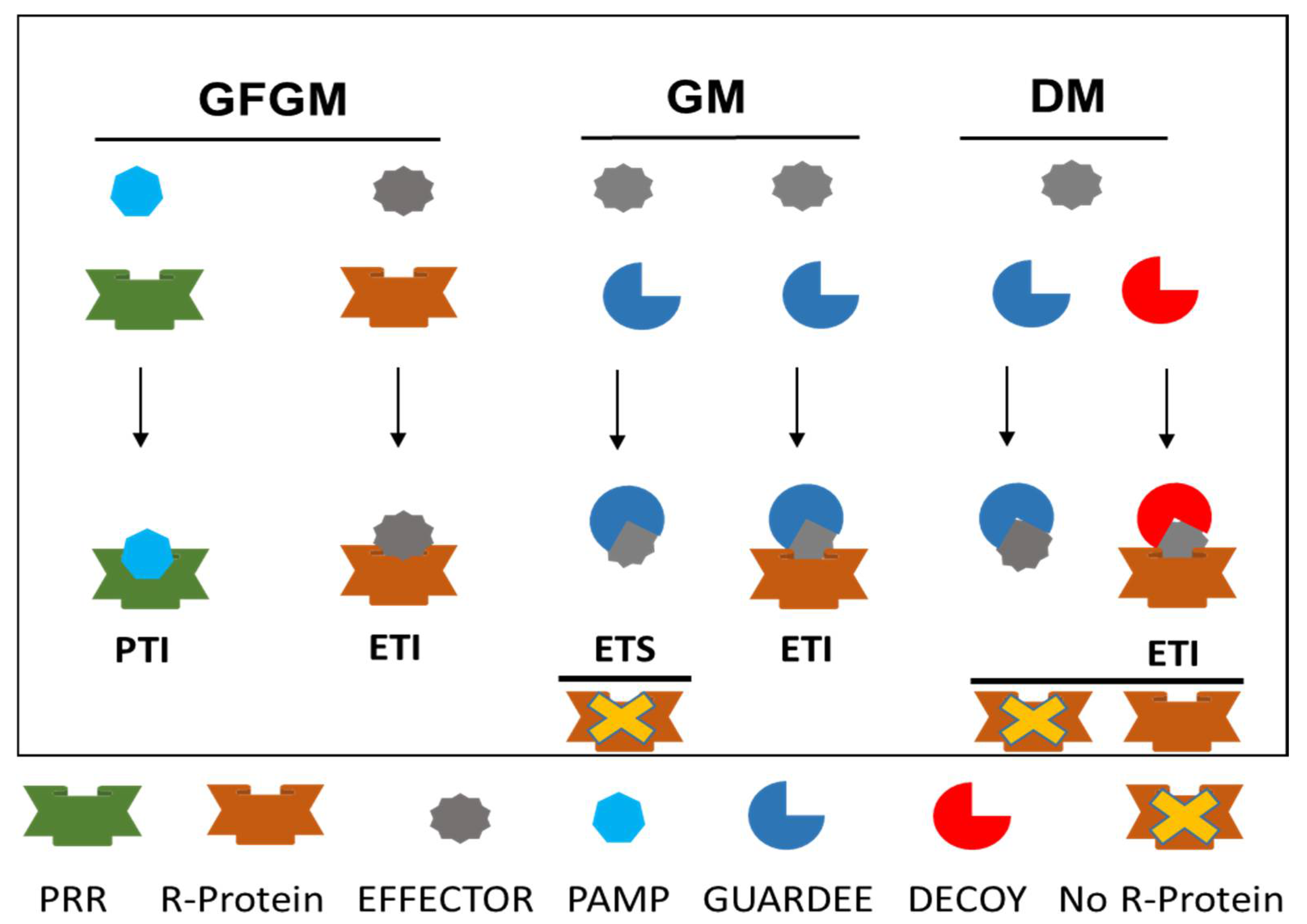 Understanding the Dynamics of Blast Resistance in Rice-Magnaporthe ...