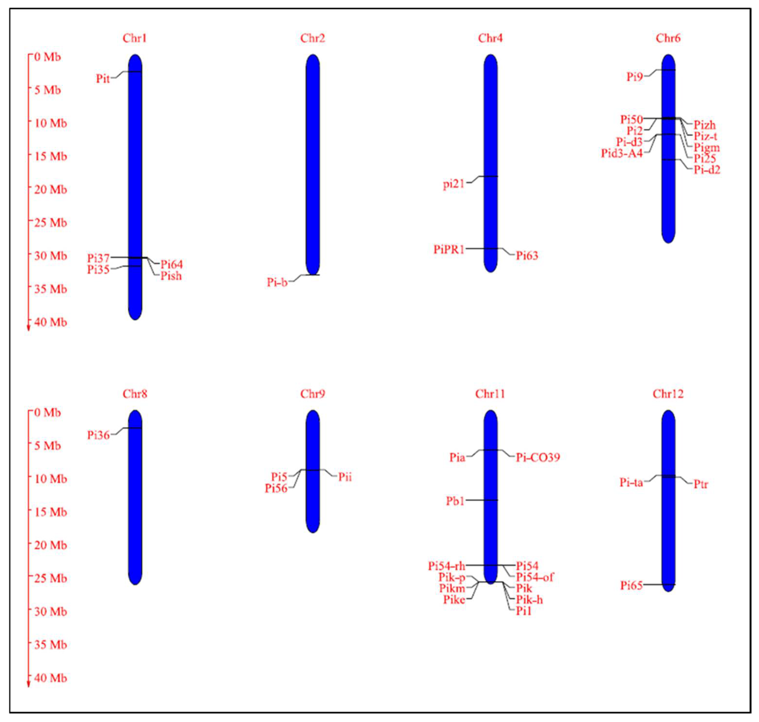 Understanding the Dynamics of Blast Resistance in Rice-Magnaporthe ...