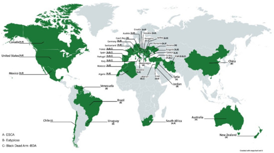 A Panoramic View on Grapevine Trunk Diseases Threats: Case of Eutypa ...