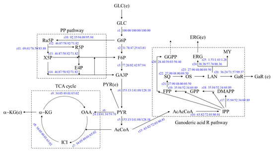 Effects of Oleic Acid Addition Methods on the Metabolic Flux ...