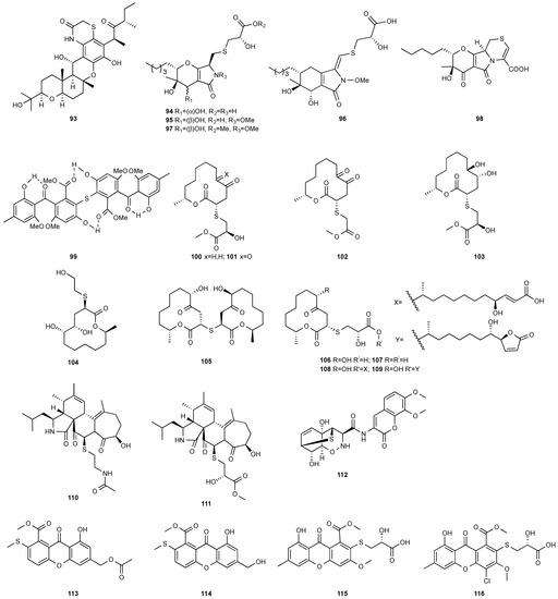 Sulfur-Containing Compounds from Endophytic Fungi: Sources, Structures ...