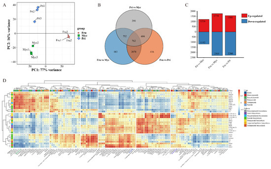 JoF | Free Full-Text | Metabolome and Transcriptome Profiling Reveal ...