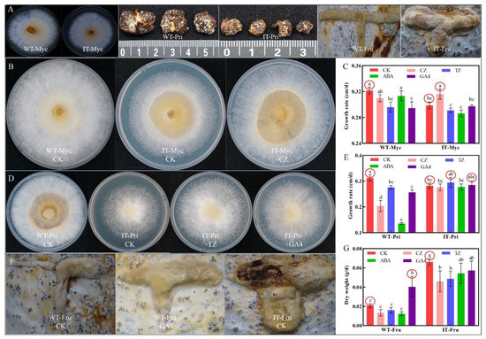 Metabolome and Transcriptome Profiling Reveal That Four Terpenoid Hormones Dominate the Growth ...