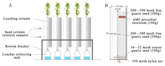 Arbuscular Mycorrhizal Fungi Reduce Cadmium Leaching from Sand Columns ...