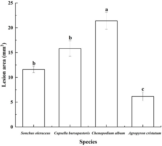 The Characterization and the Biological Activity of Phytotoxin Produced ...