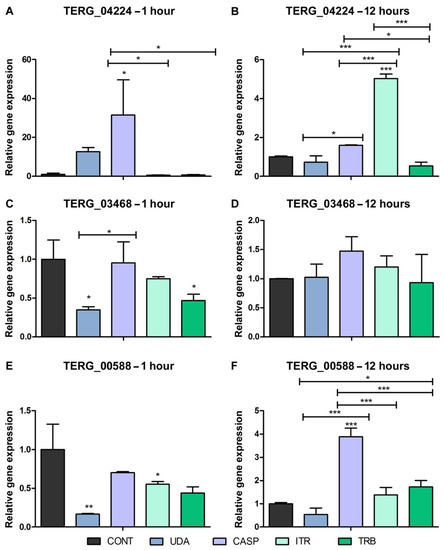 Alternative Splicing in Trichophyton rubrum Occurs in Efflux Pump ...