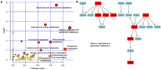 Metabolome and Transcriptome Profiling Reveal Carbon Metabolic Flux ...