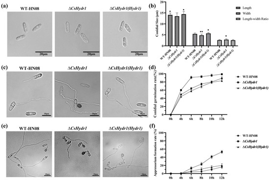 The Colletotrichum siamense Hydrophobin CsHydr1 Interacts with the ...
