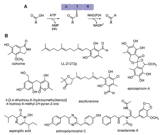 Characterization of a NRPS-like Protein from Pestalotiopsis fici for ...
