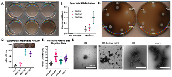 Melanization of Candida auris Is Associated with Alteration of ...