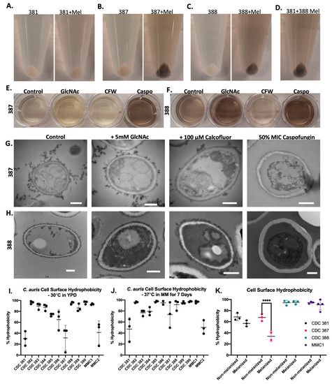 Melanization of Candida auris Is Associated with Alteration of ...