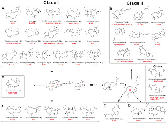 Research Progress on Fungal Sesterterpenoids Biosynthesis