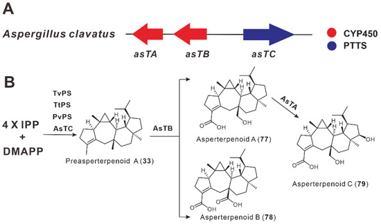 Research Progress on Fungal Sesterterpenoids Biosynthesis