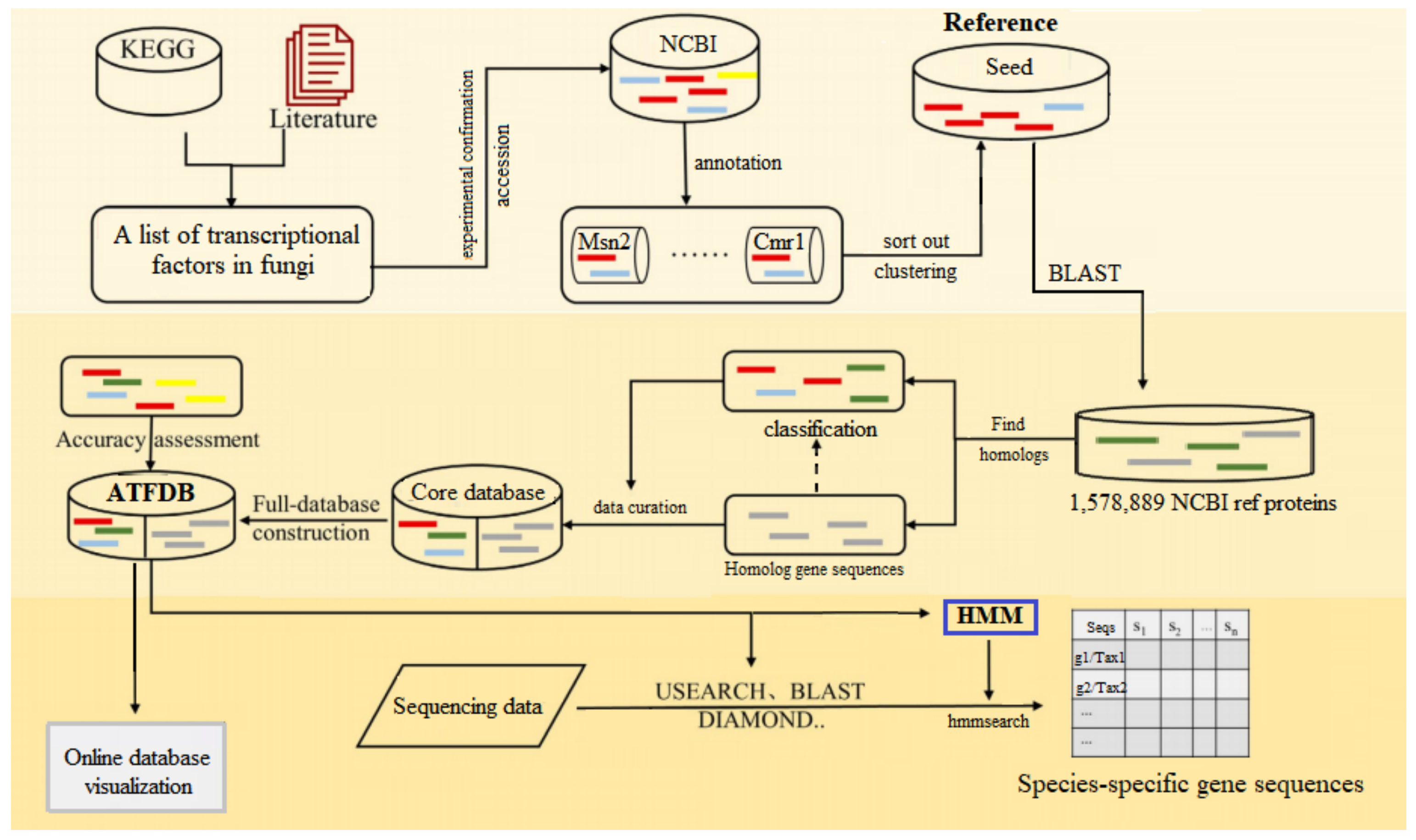 Transcription Factors In Aureobasidium Spp Classification Regulation